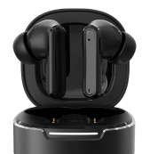 earbuds D6 Sound Hunt TCH- | TCH Fit